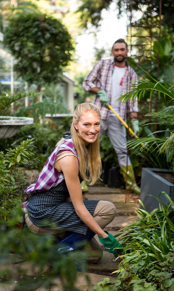 LUCAS LANDSCAPING SERVICES LLC – LANDSCAPING SERVICES