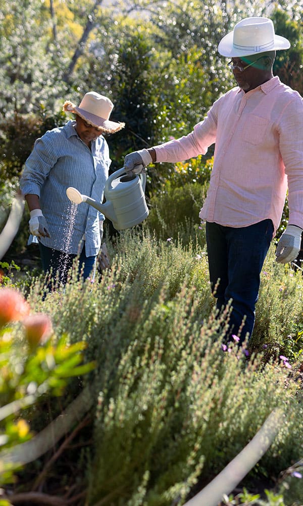 LUCAS LANDSCAPING SERVICES LLC – LANDSCAPING SERVICES